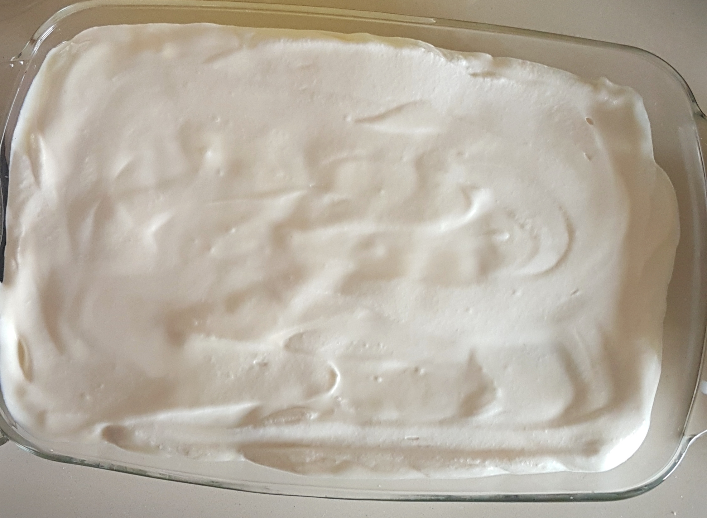 Choco BisCream Pudding – B2D Plate